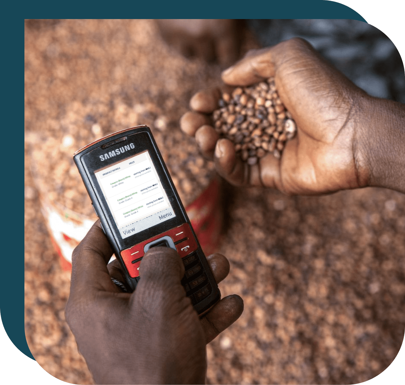 CoAmana – Strengthening Market Linkages