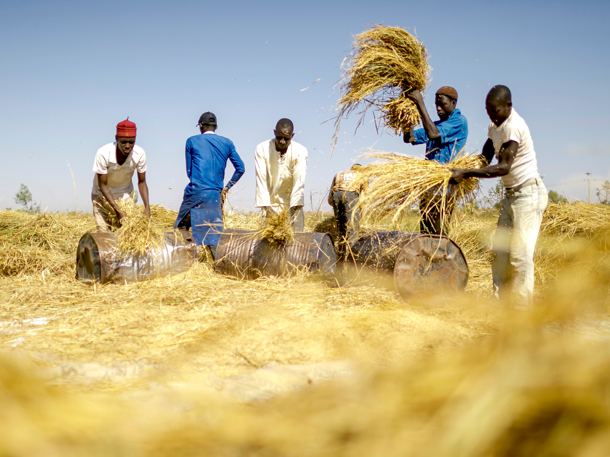 CoAmana – Strengthening Market Linkages